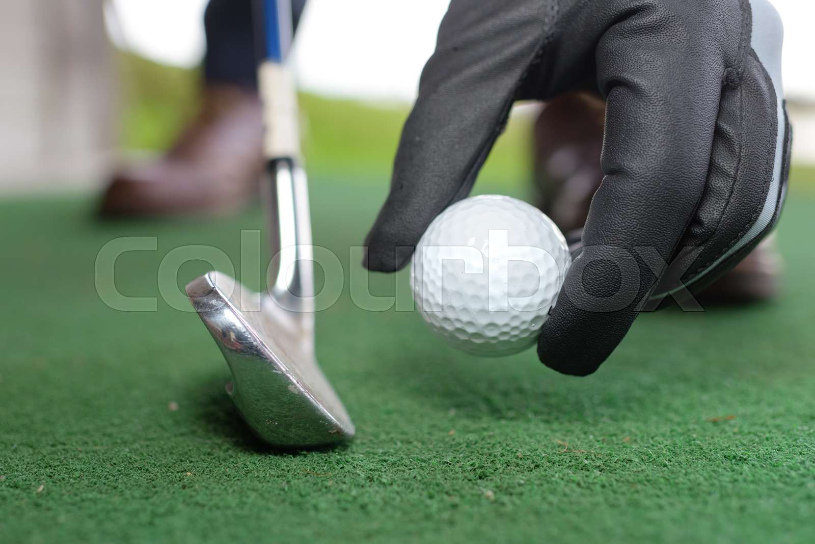 hand putting golf ball on tee with club | Stock image | Colourbox