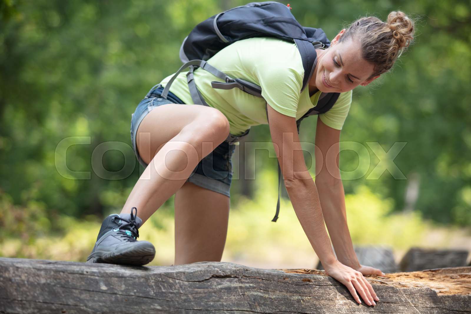 young and happy woman climbed a tree branch | Stock image | Colourbox