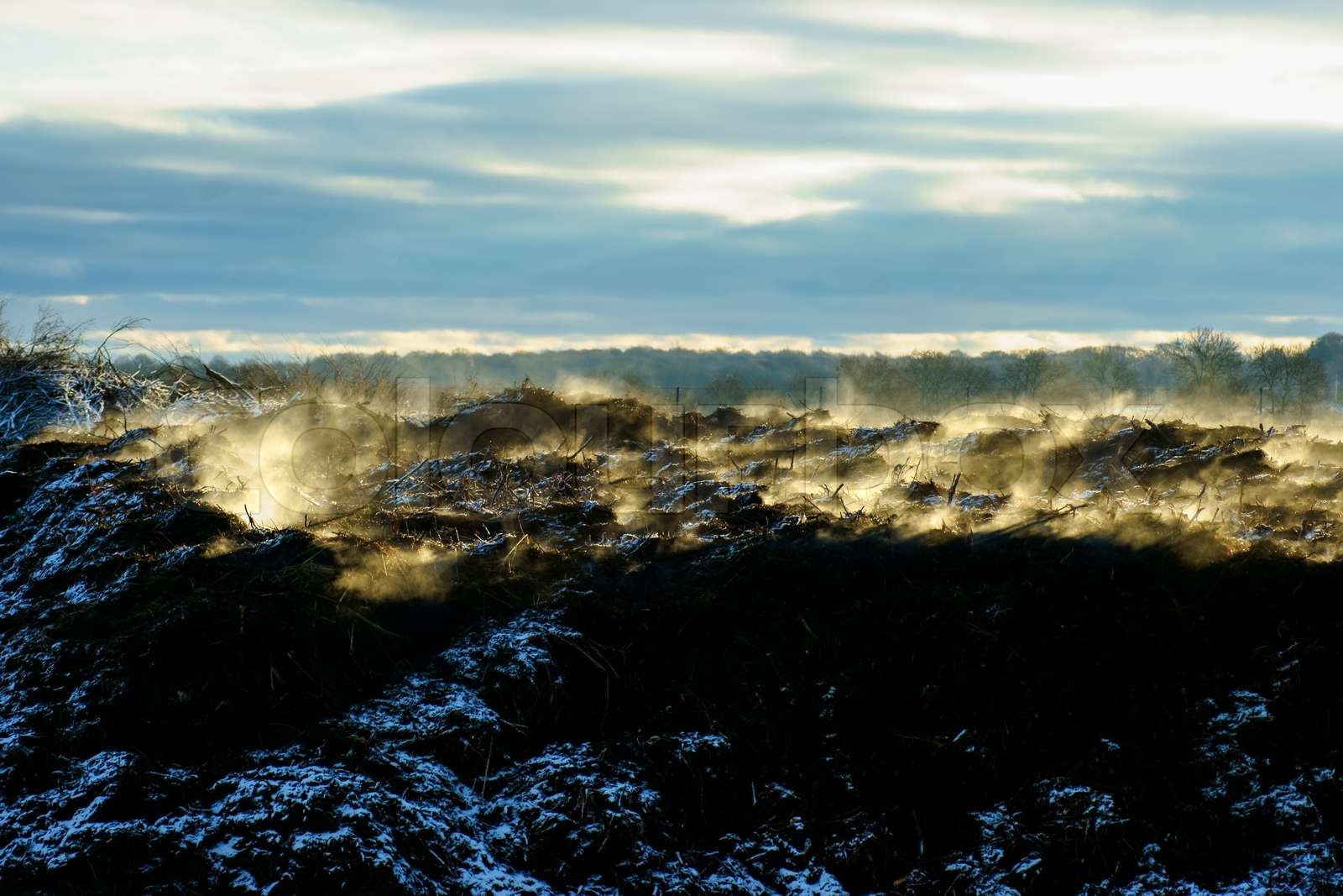Tåge over en slette | Stock foto | Colourbox