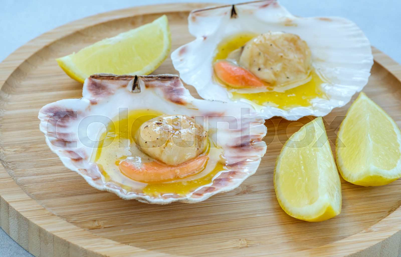 King scallop in shell | Stock image | Colourbox