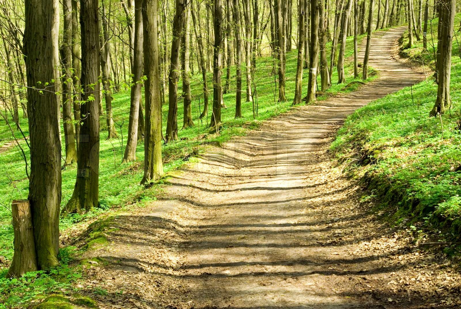 Weg | Stock Bild | Colourbox