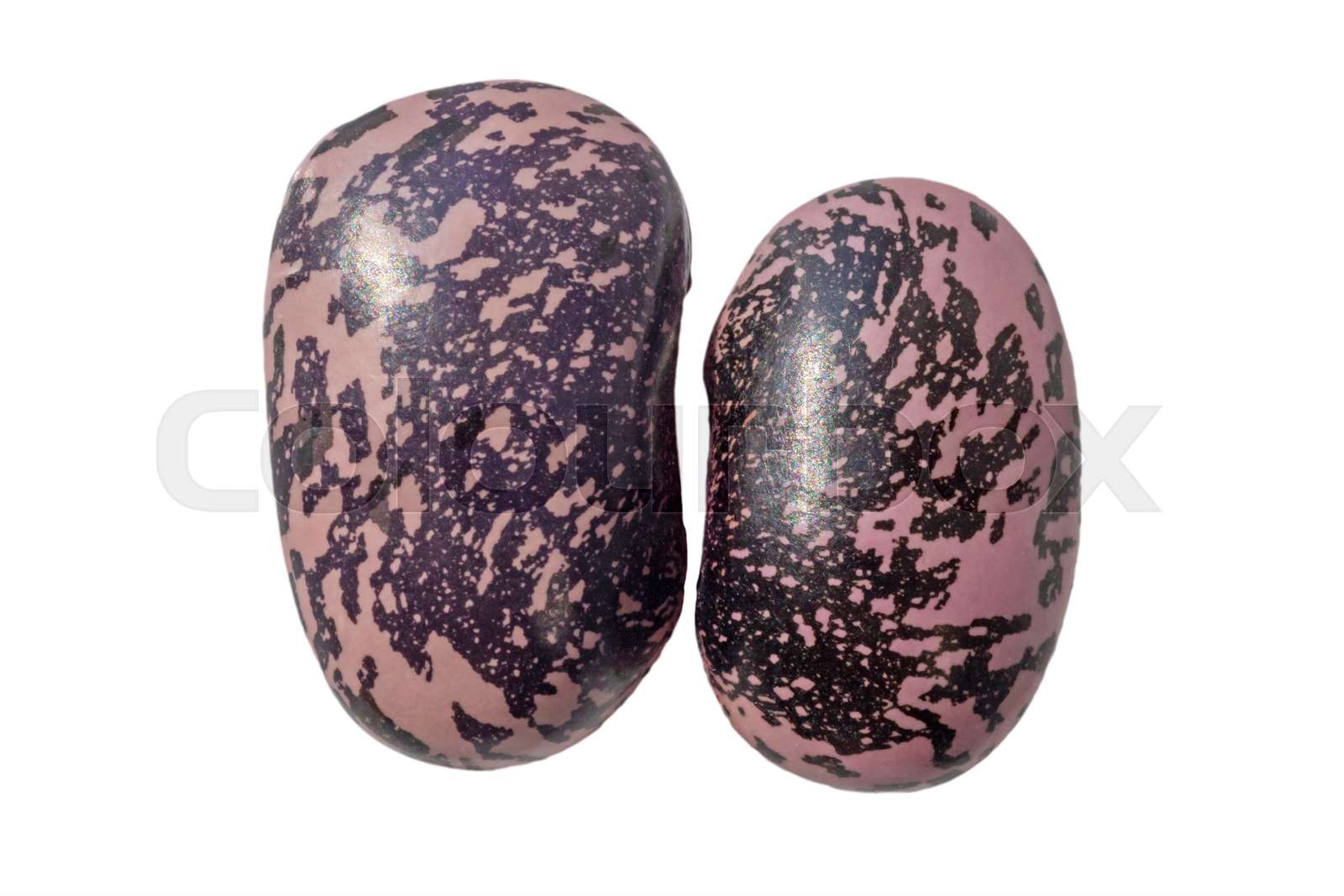 two violet beans isolated on white | Stock image | Colourbox