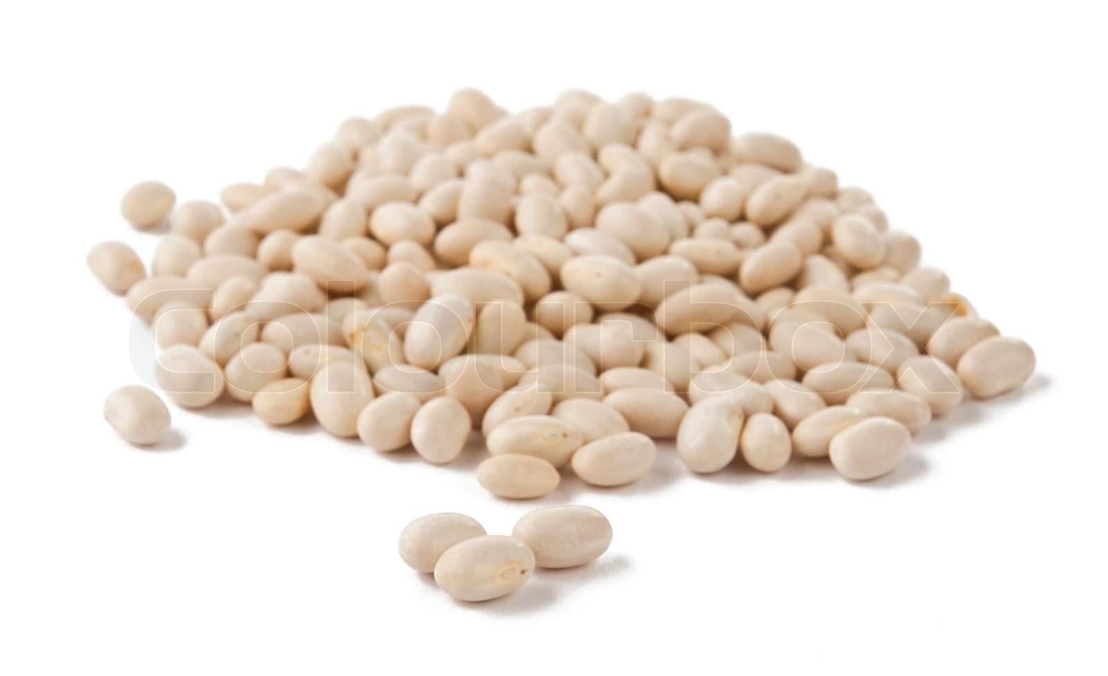 white beans isolated | Stock image | Colourbox