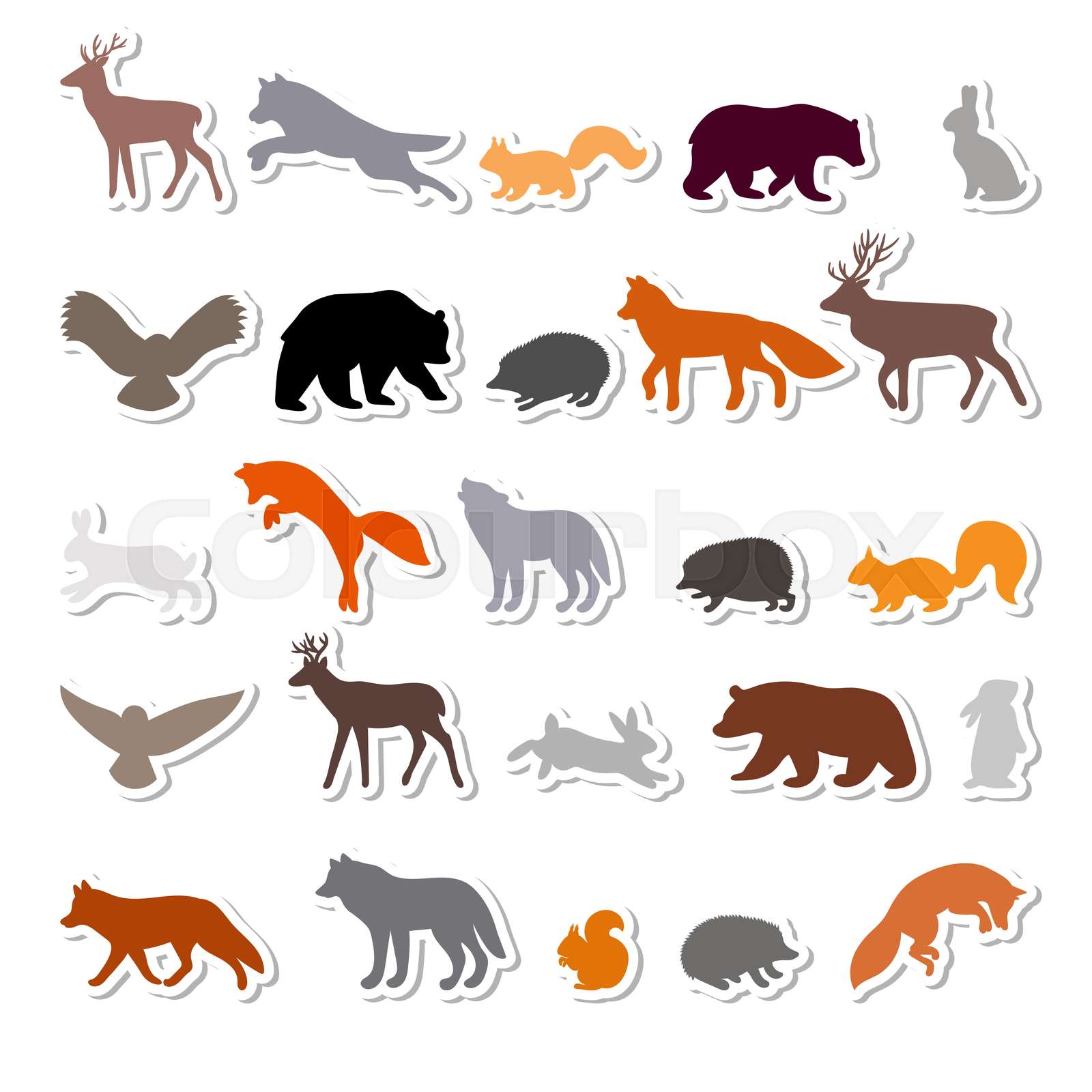 Forest Animal Clipart