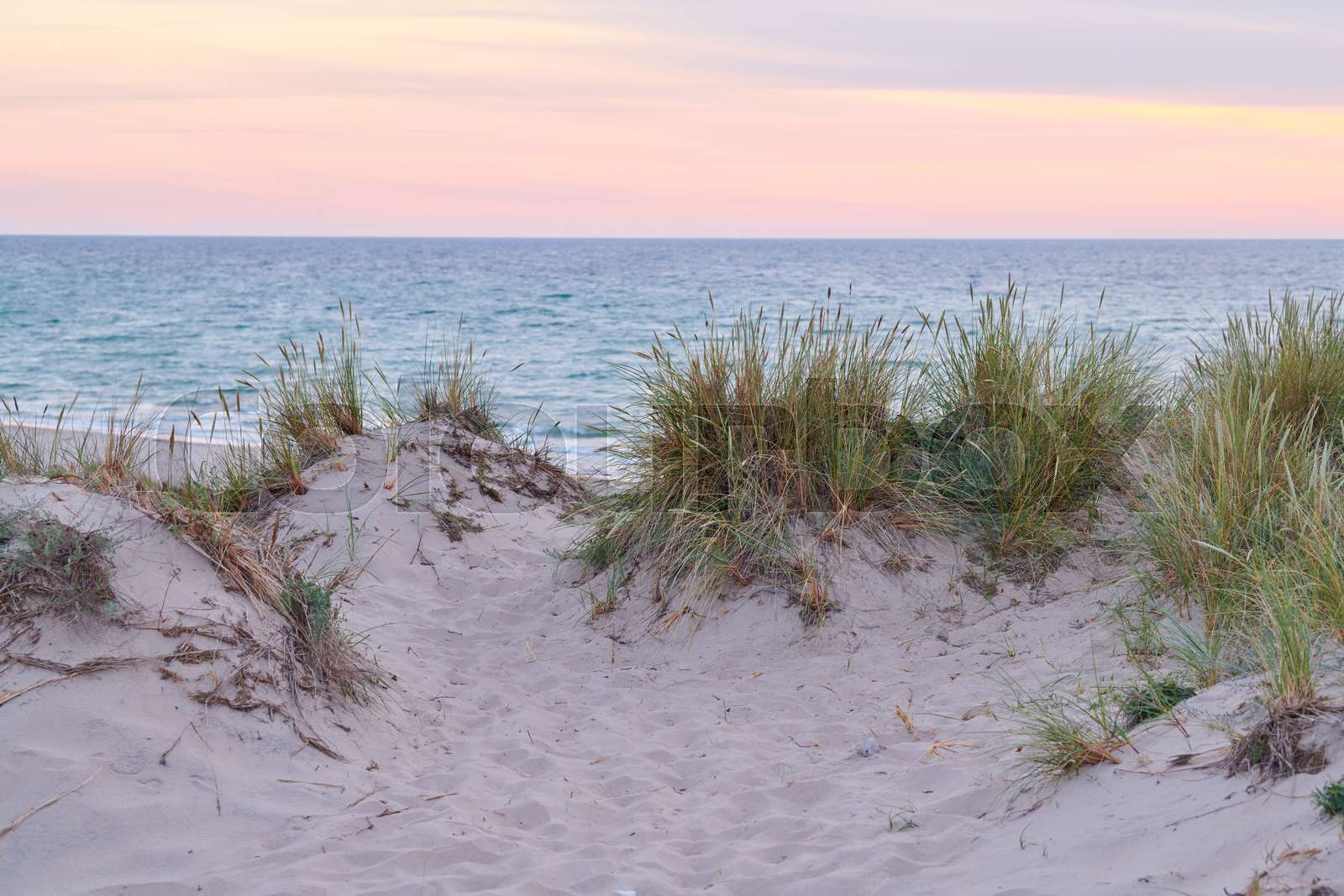 dunes, coast, beach | Stock image | Colourbox