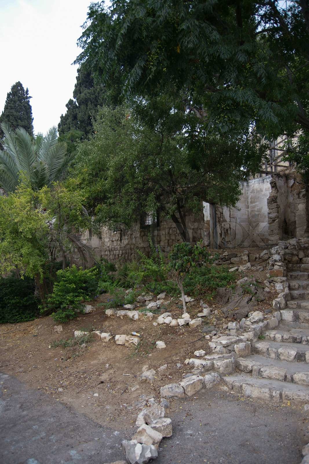 Rosh Pinna town streets | Stock image | Colourbox