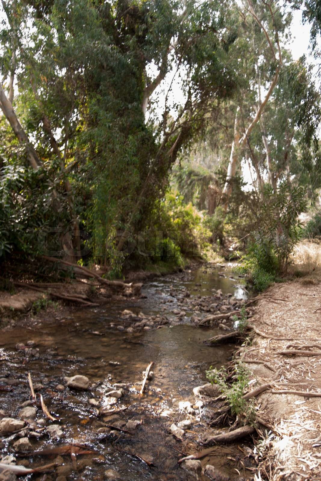 upper galilee natural reserve | Stock image | Colourbox
