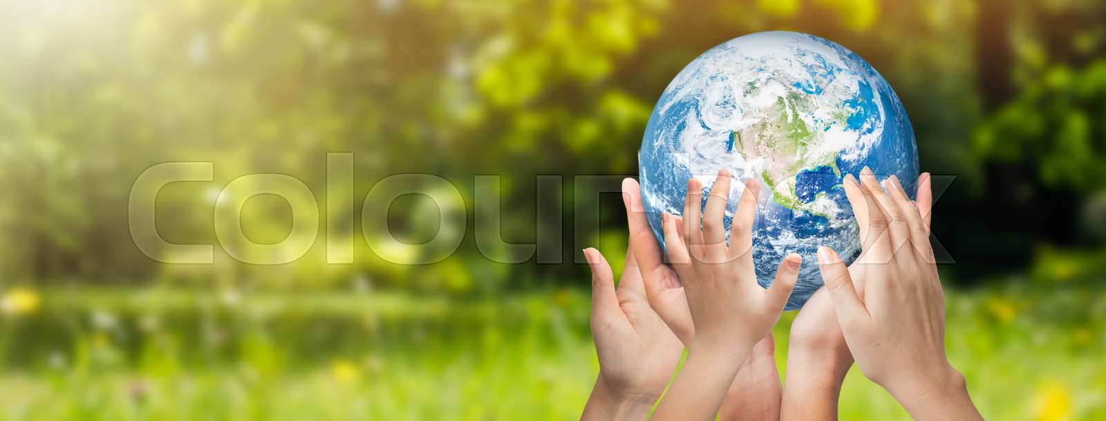 Hands raised to Earth. Environment protection | Stock image | Colourbox