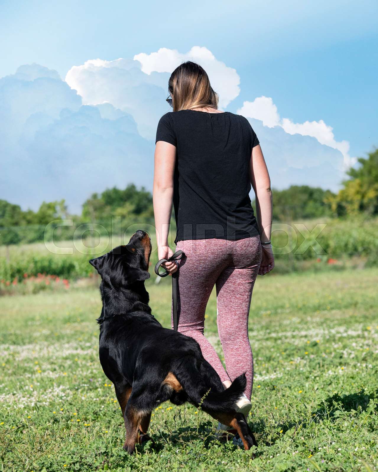 woman and rottweiler in nature | Stock image | Colourbox