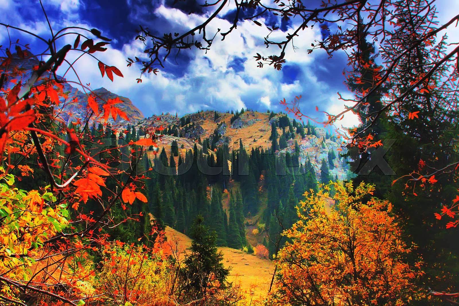 | Stock image | Colourbox