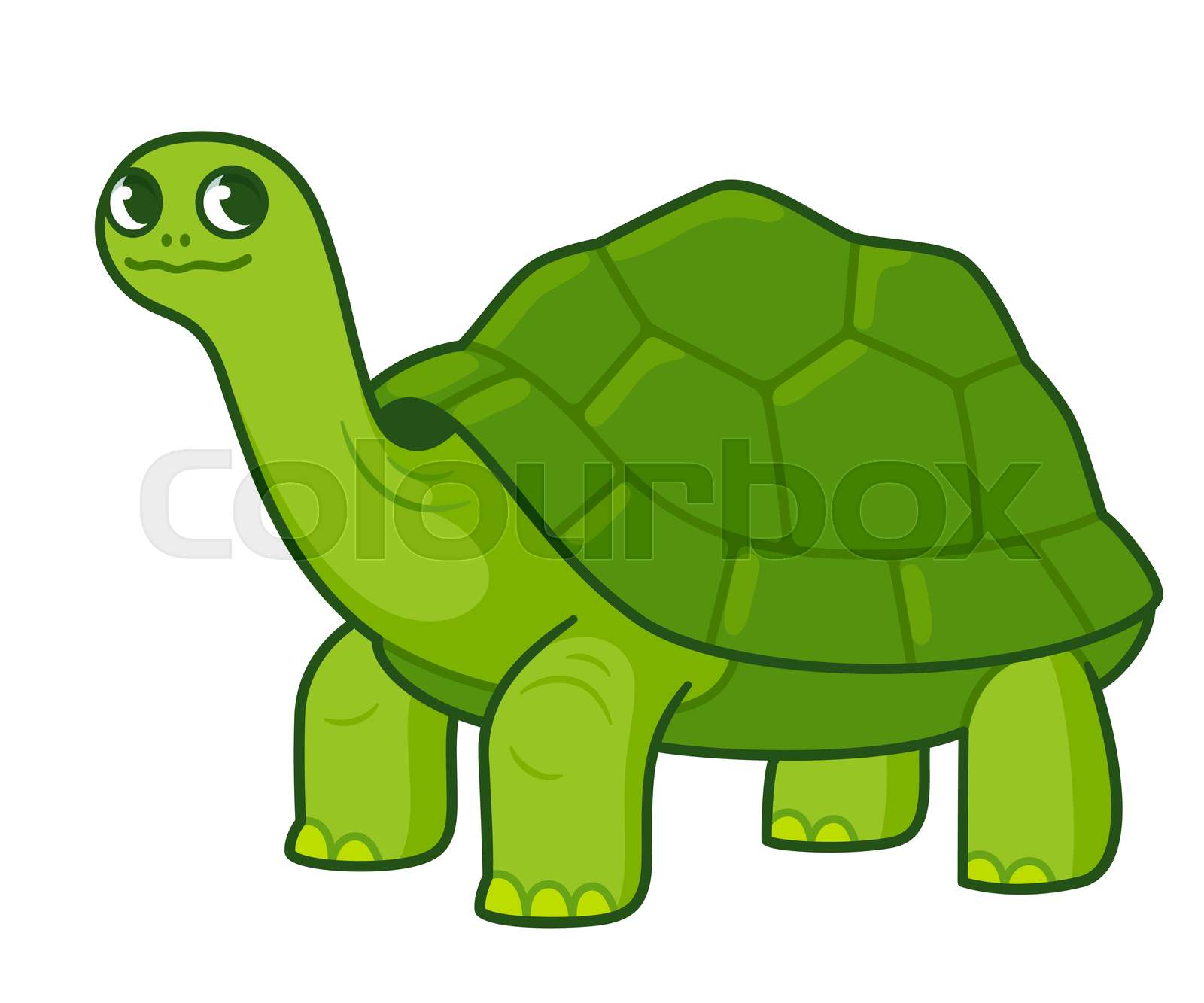 Cute cartoon giant tortoise drawing | Stock vector | Colourbox