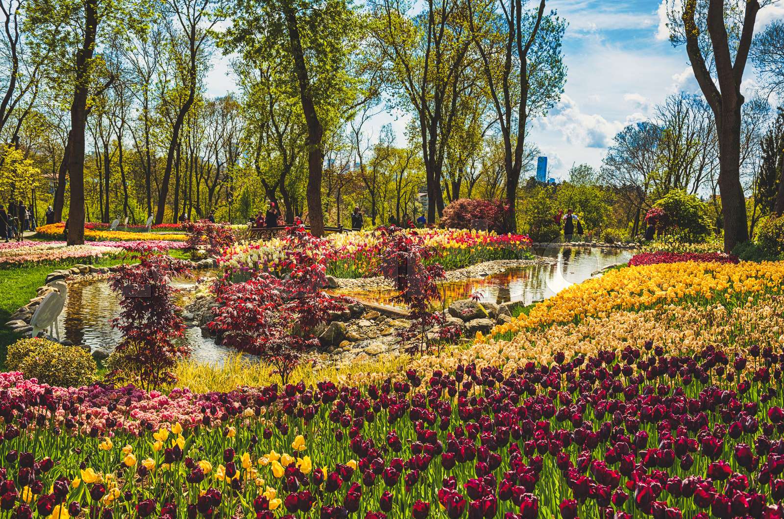 Emirgan Park, Istanbul | Stock image | Colourbox