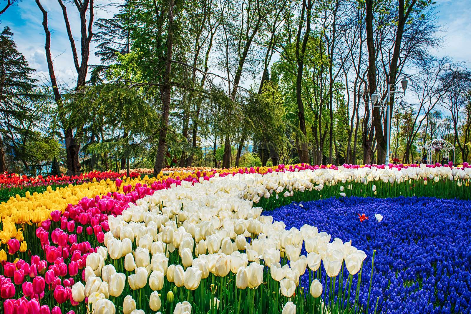 Emirgan Park, Istanbul | Stock image | Colourbox