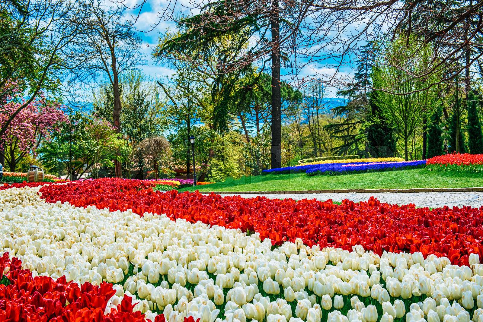 Emirgan Park, Istanbul | Stock image | Colourbox