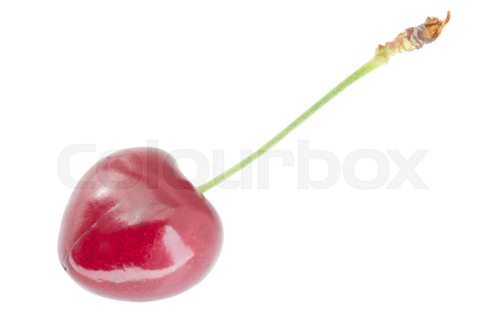 close up of ripe red cherry isolated on white | Stock image | Colourbox