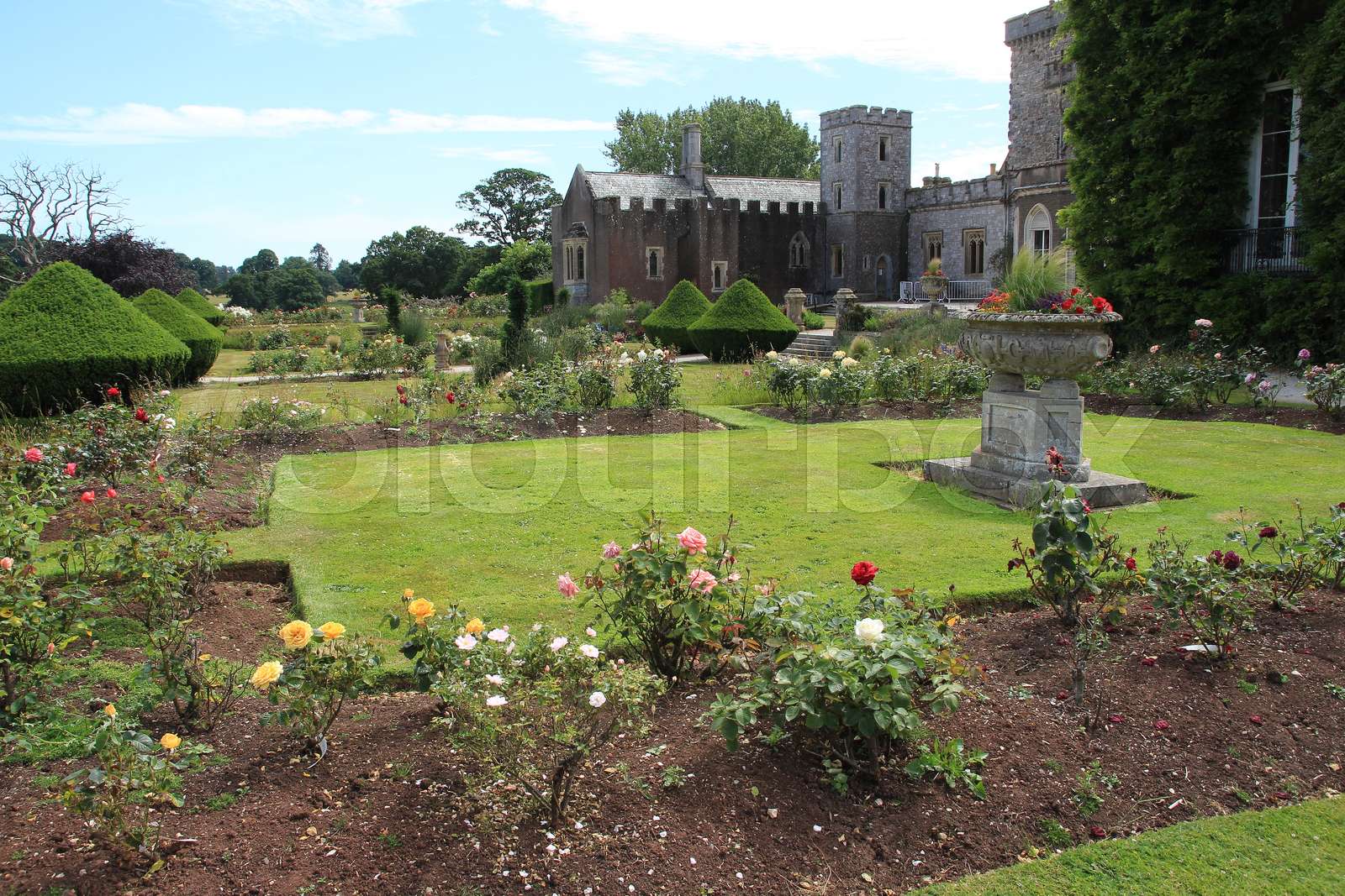Powderham Castle in England. | Stock image | Colourbox