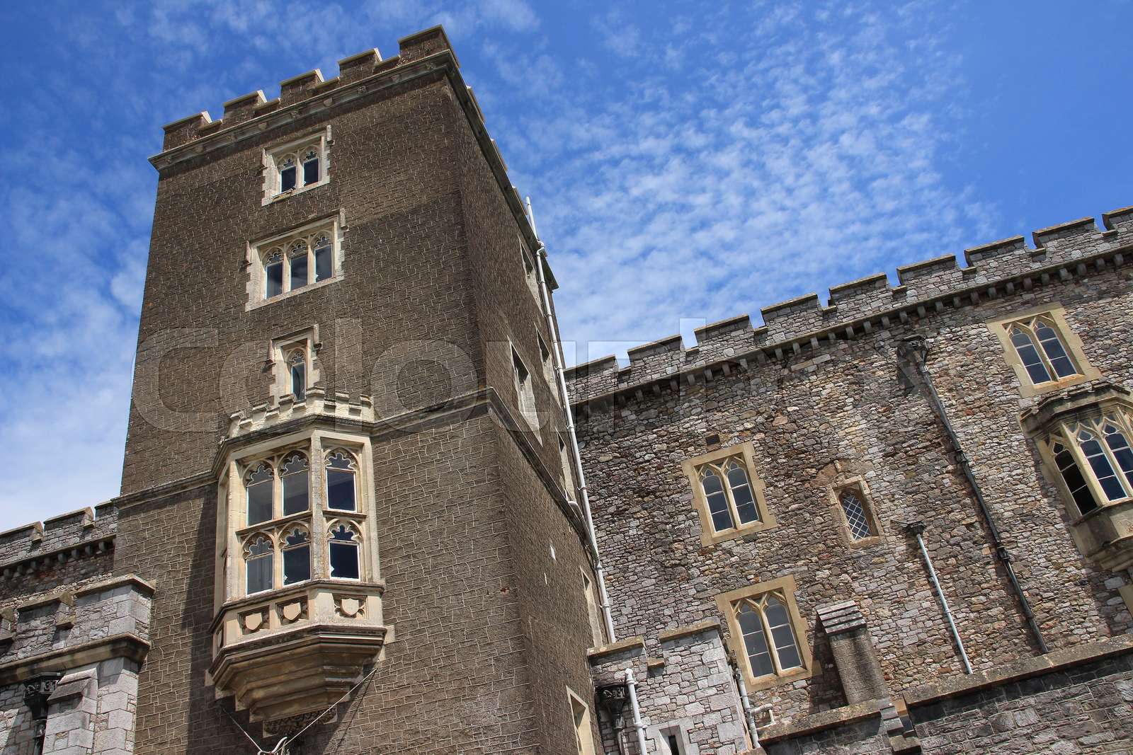 Powderham Castle in England. | Stock image | Colourbox