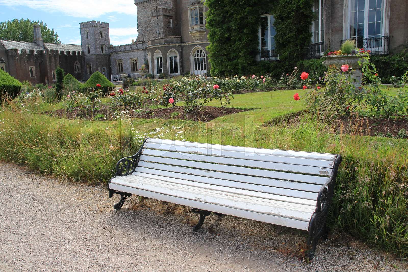 Powderham Castle in England. | Stock image | Colourbox