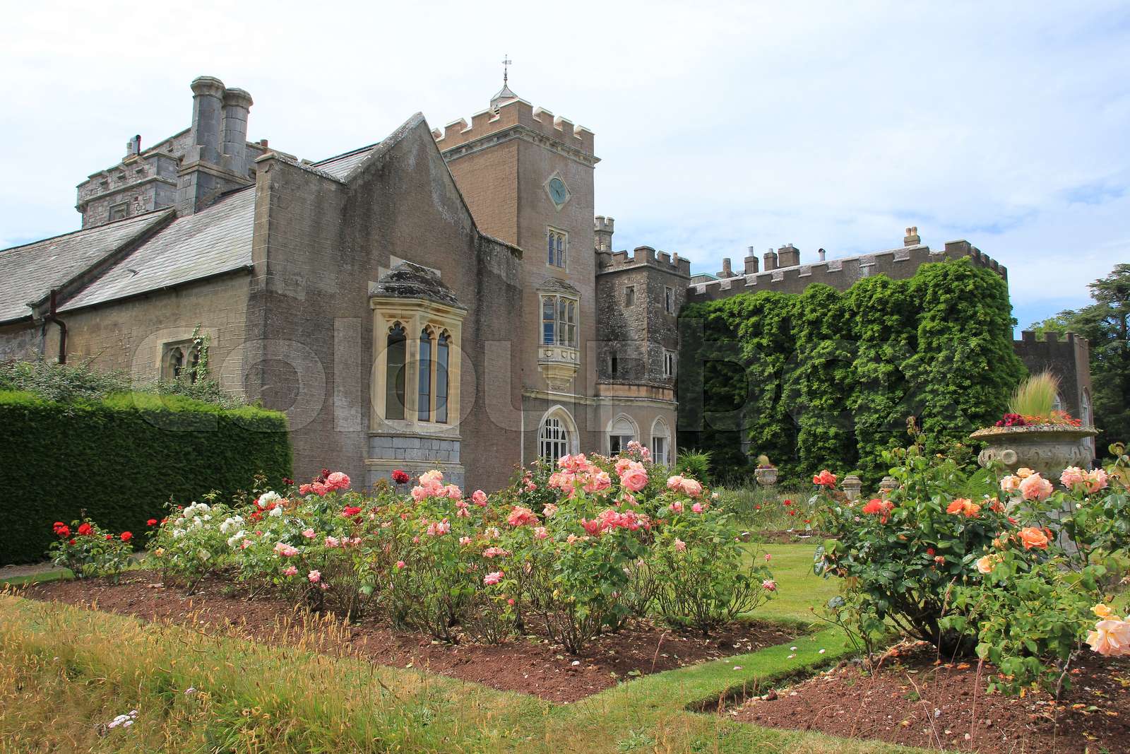 Powderham Castle in England. | Stock image | Colourbox