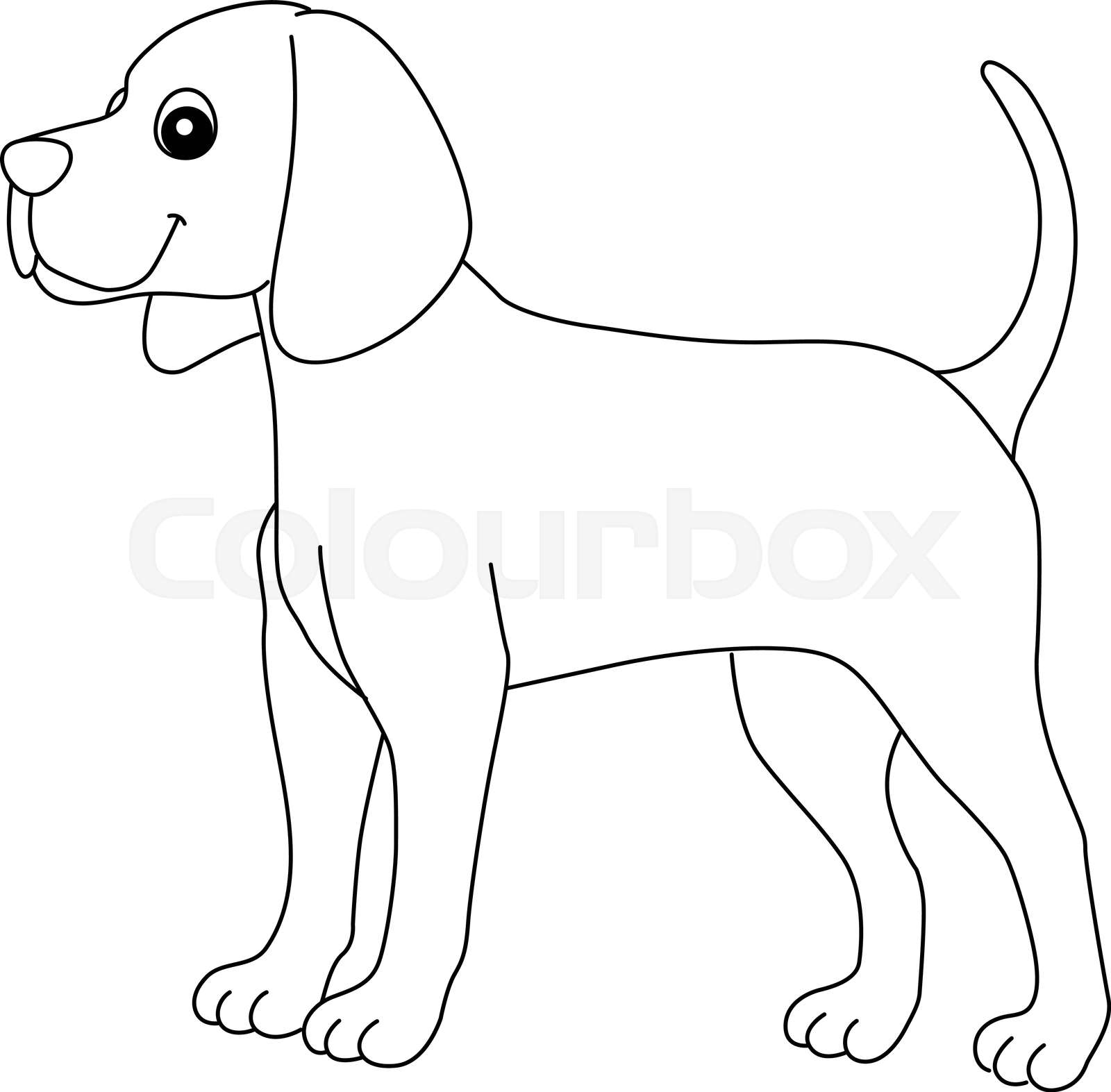 Coonhound Dog Isolated Coloring Page For Kids Stock Vector Colourbox
