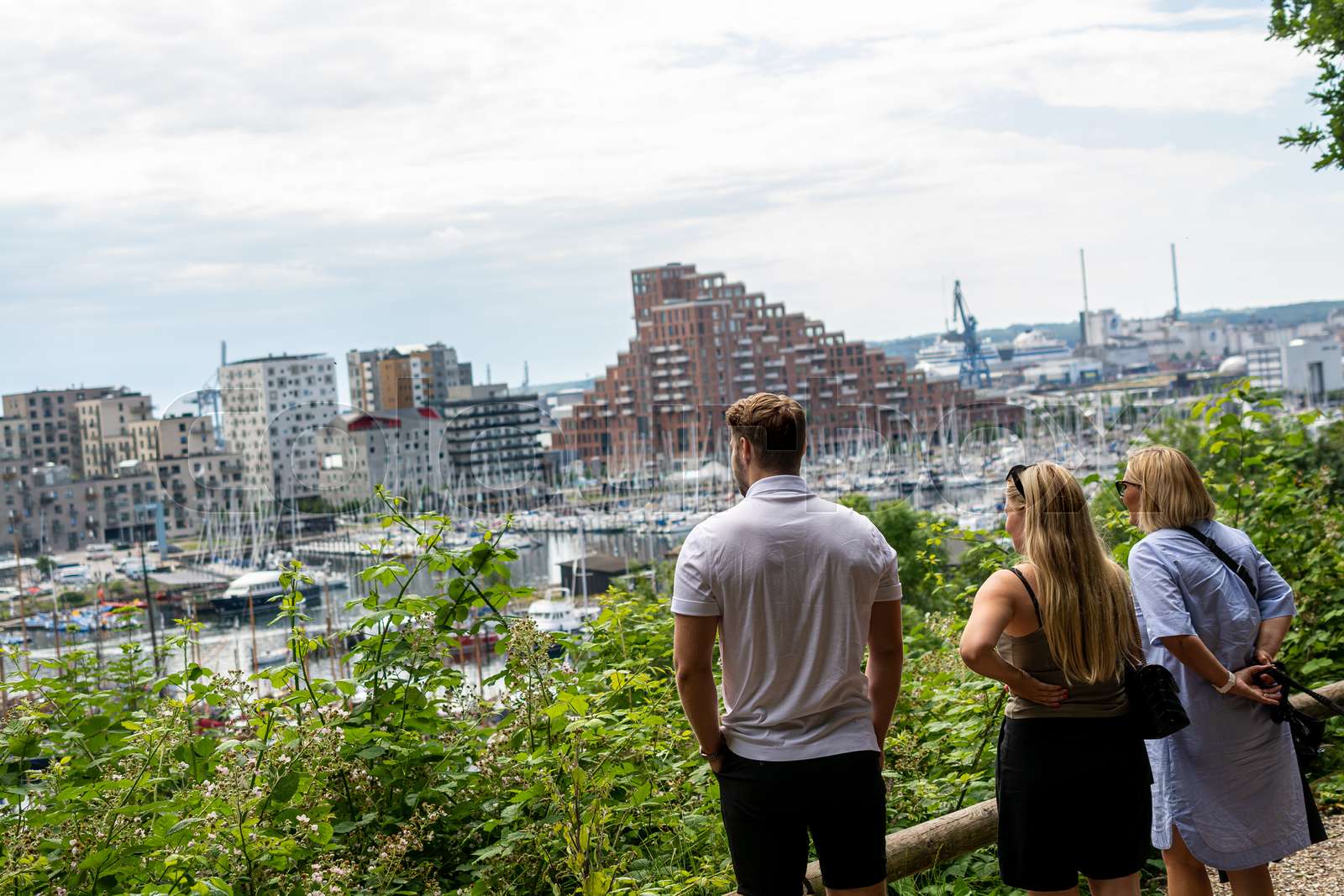 Everyday summer mood on Aarhus island. Scandinavian lifestyle | Stock image | Colourbox