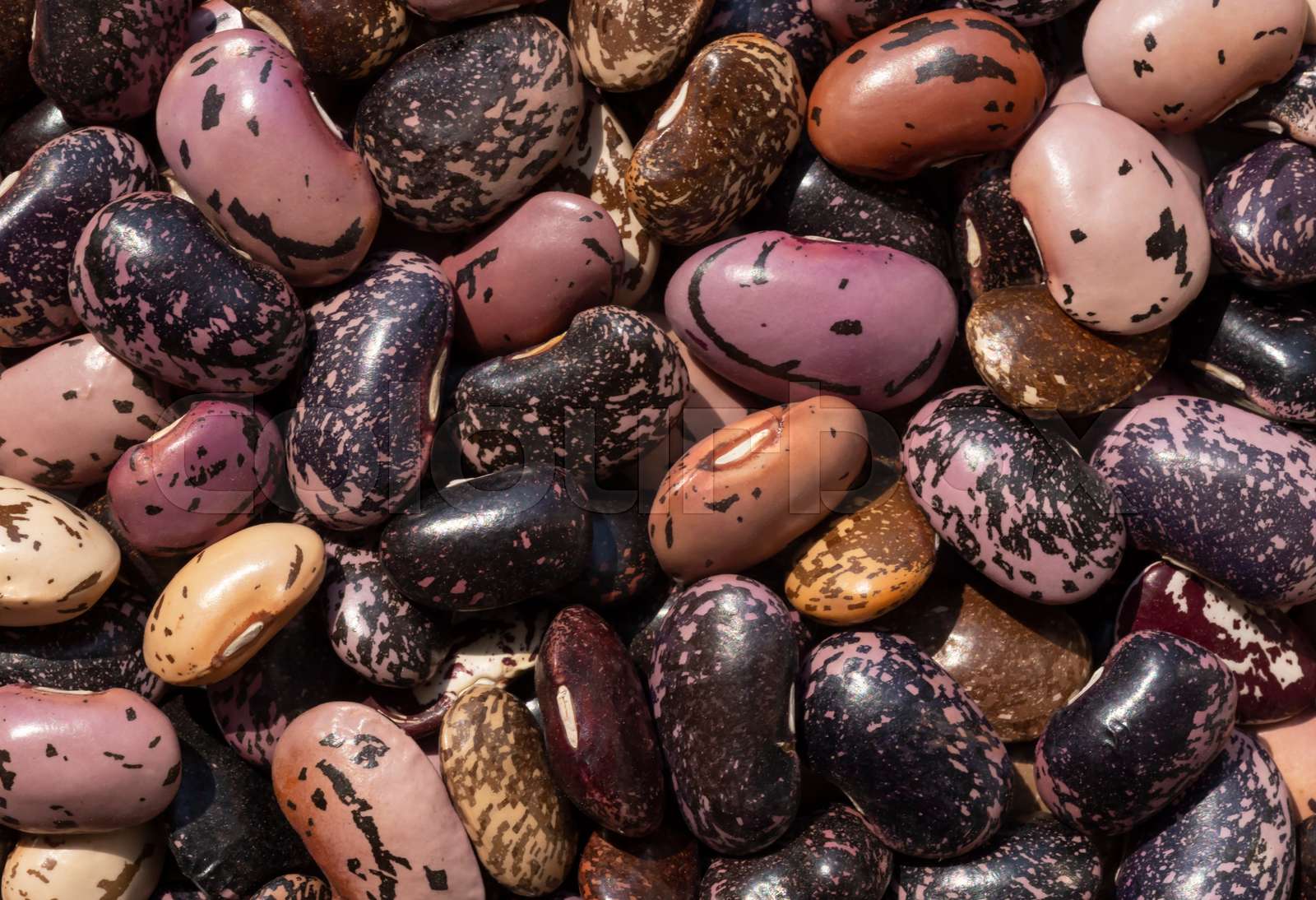 bohnen, bohne, legumen | Stock Bild | Colourbox