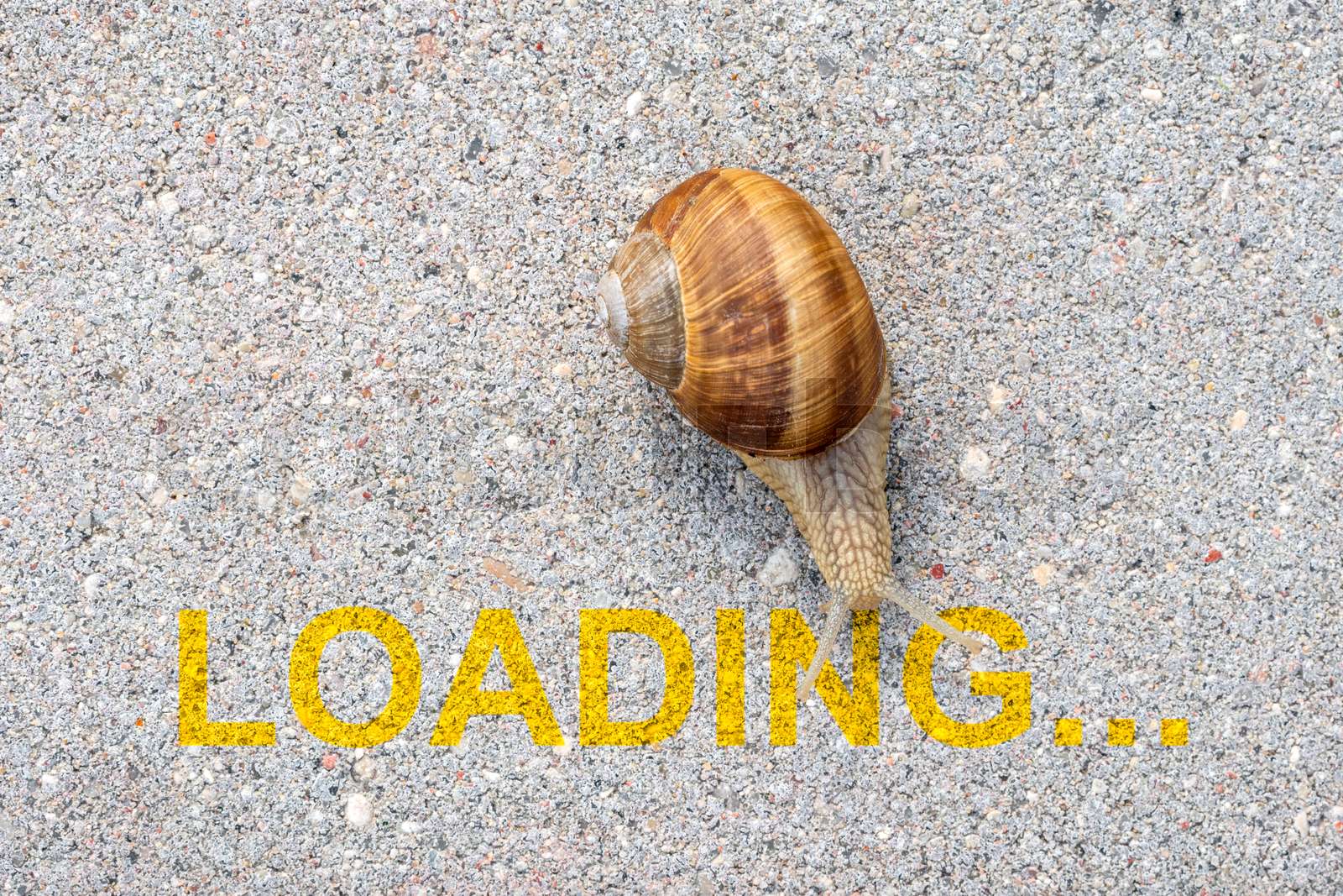 Loading, downloading, slow internet speed concept | Stock image | Colourbox