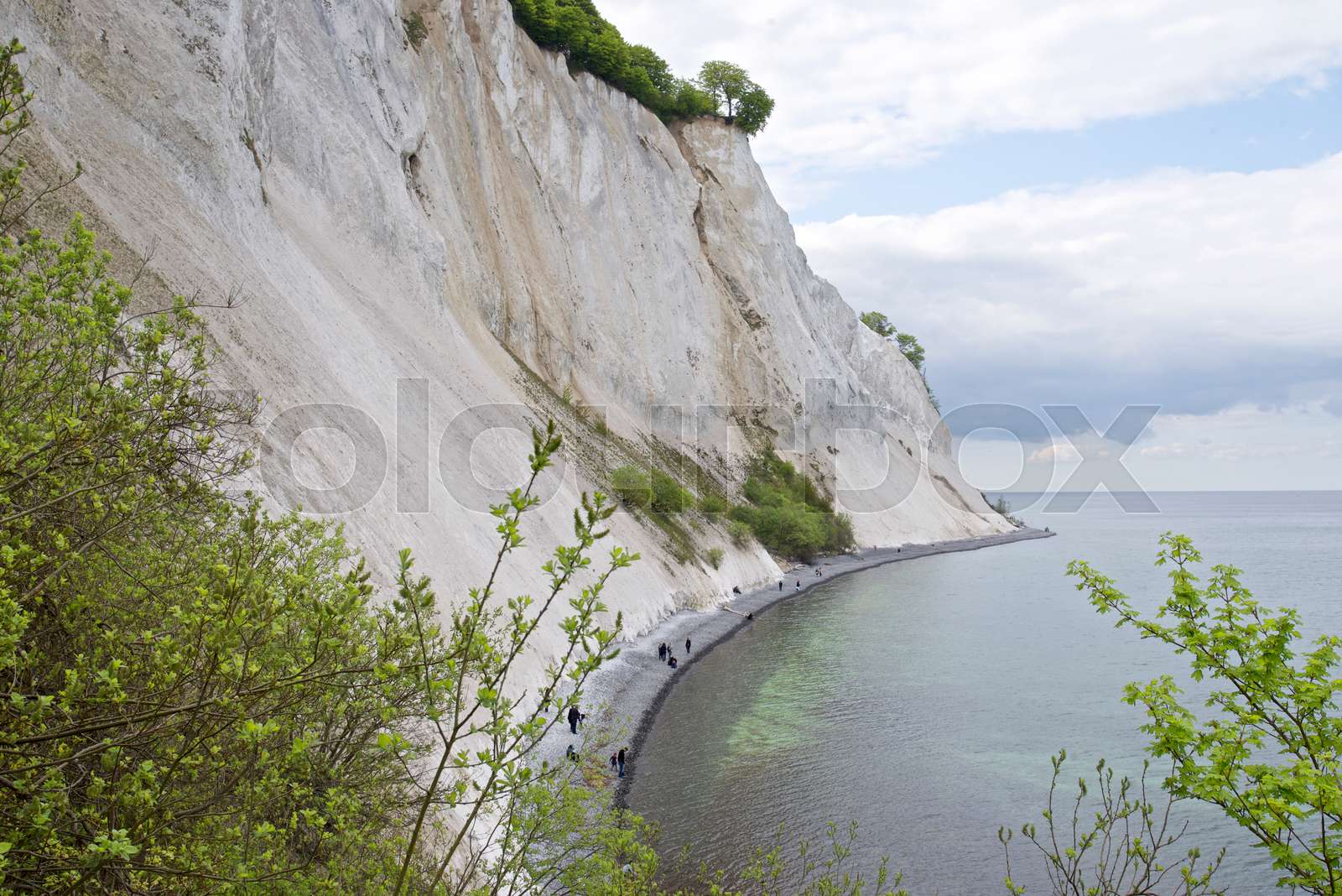 Møns klint på Møn, landskab, kyst, Danmark, | Stock image | Colourbox