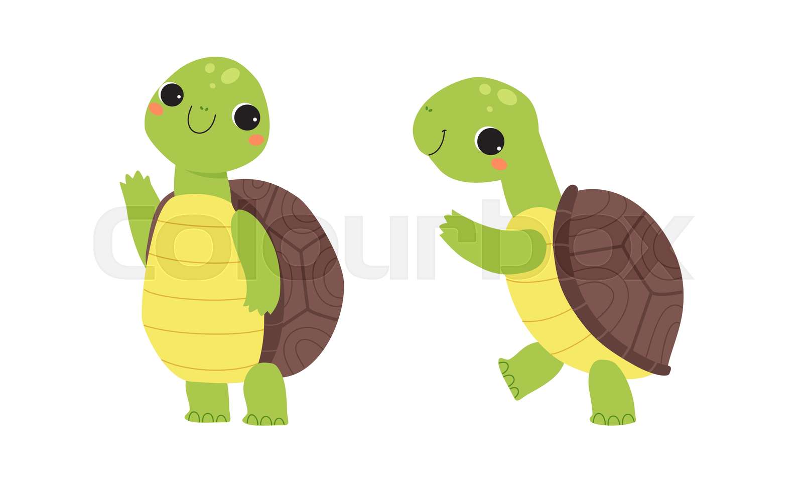 Tortoise Cartoon