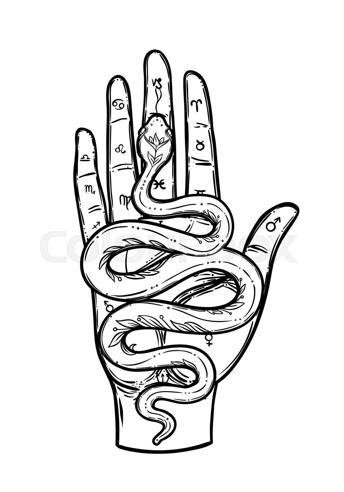 Magic hand and snake. Fortune telling concept. Spiritual Palmistry ...