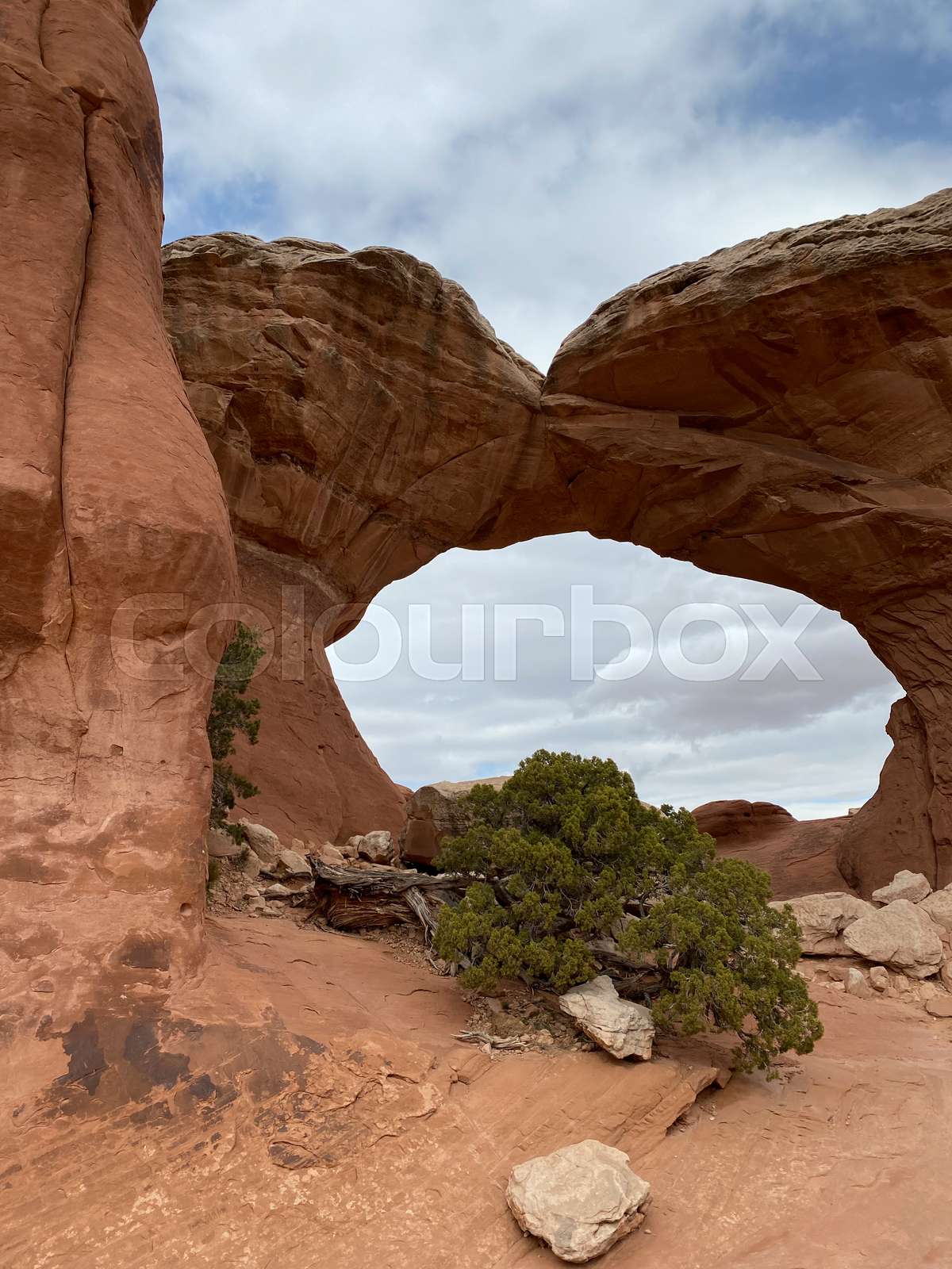 Broken Arch in the Broken Arch Trail in Arches National Park Utah Photo ...