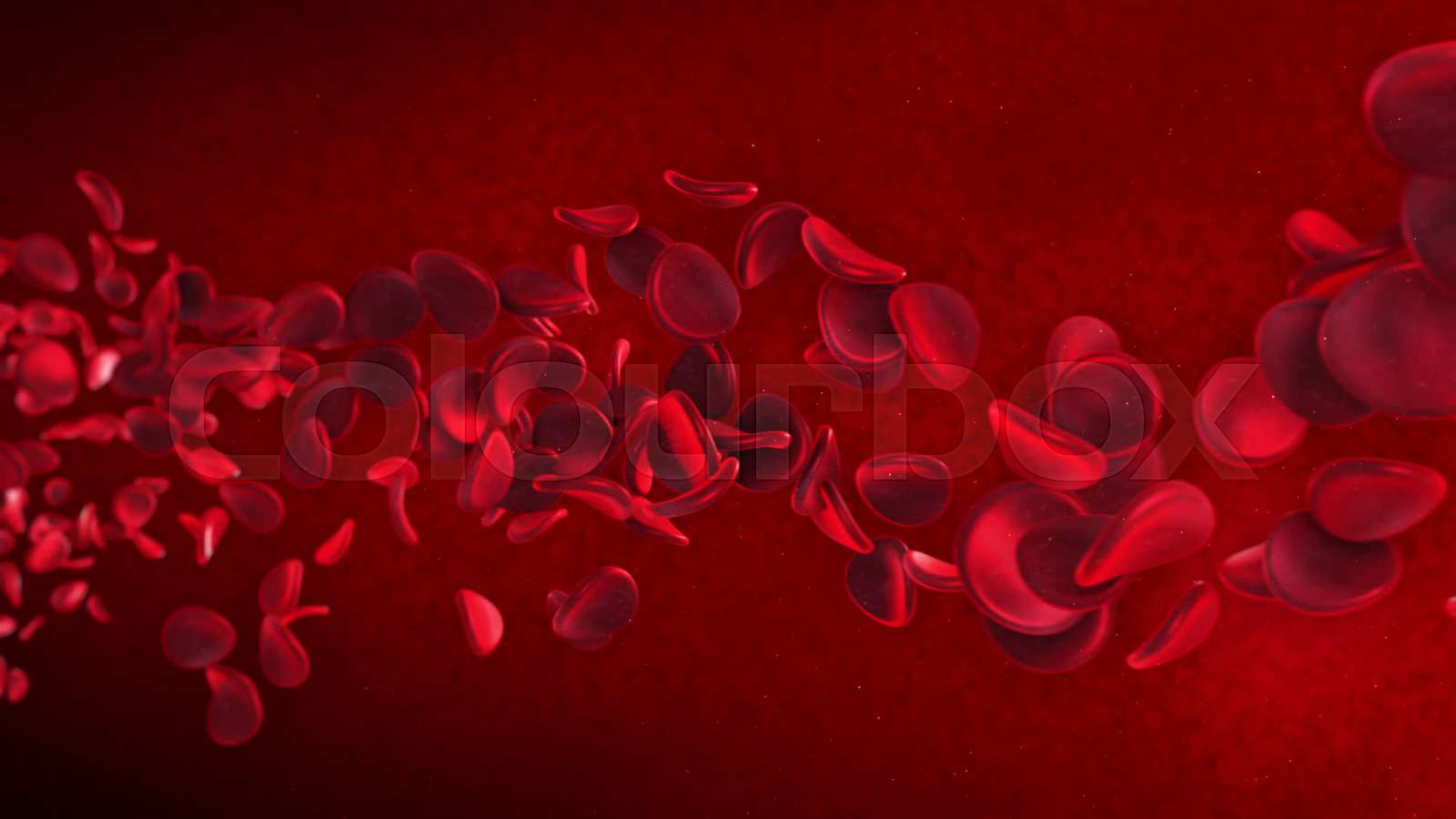 Red Blood Cells in a 3D animation | Stock video | Colourbox