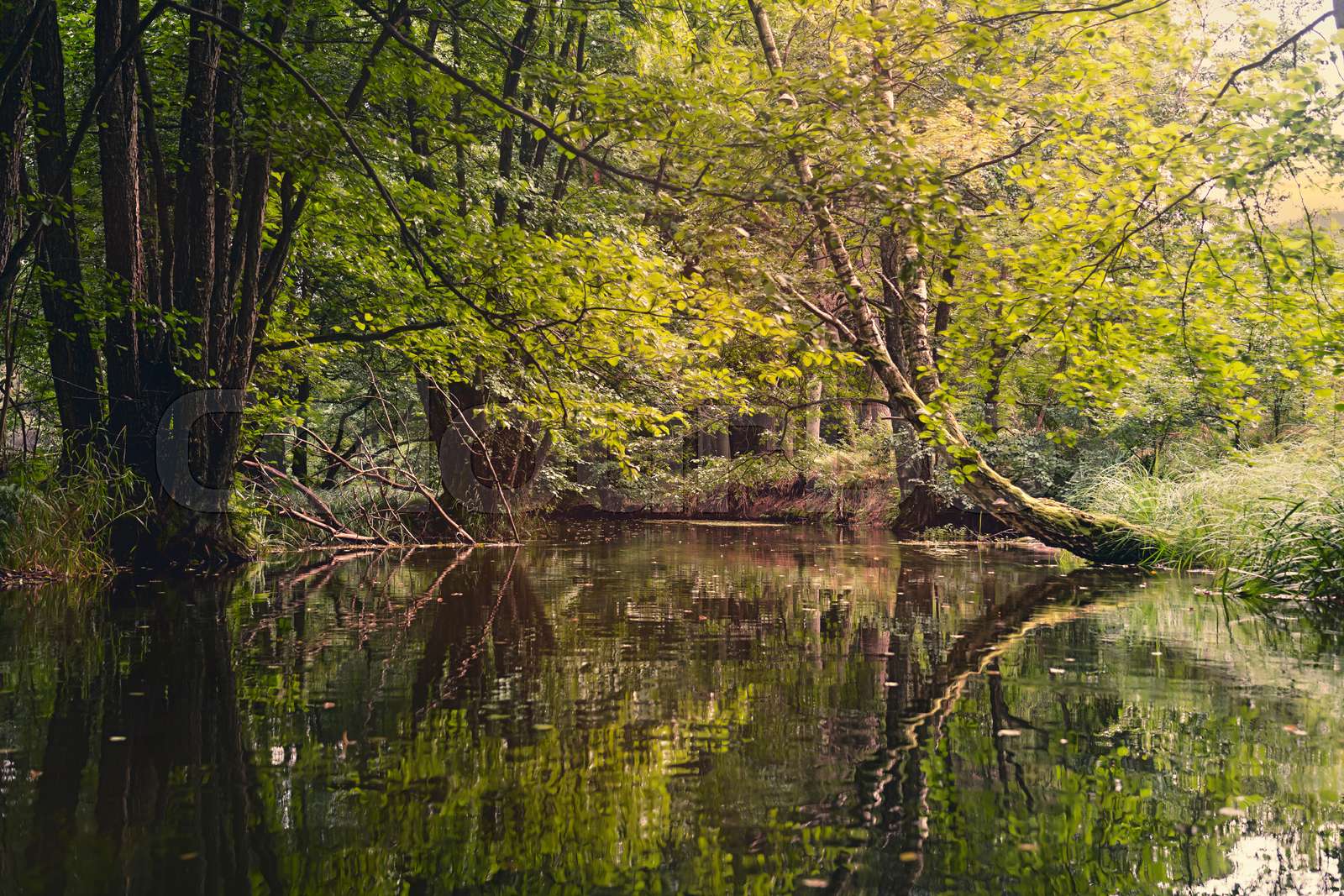 idyllic landscape seen from the river | Stock image | Colourbox