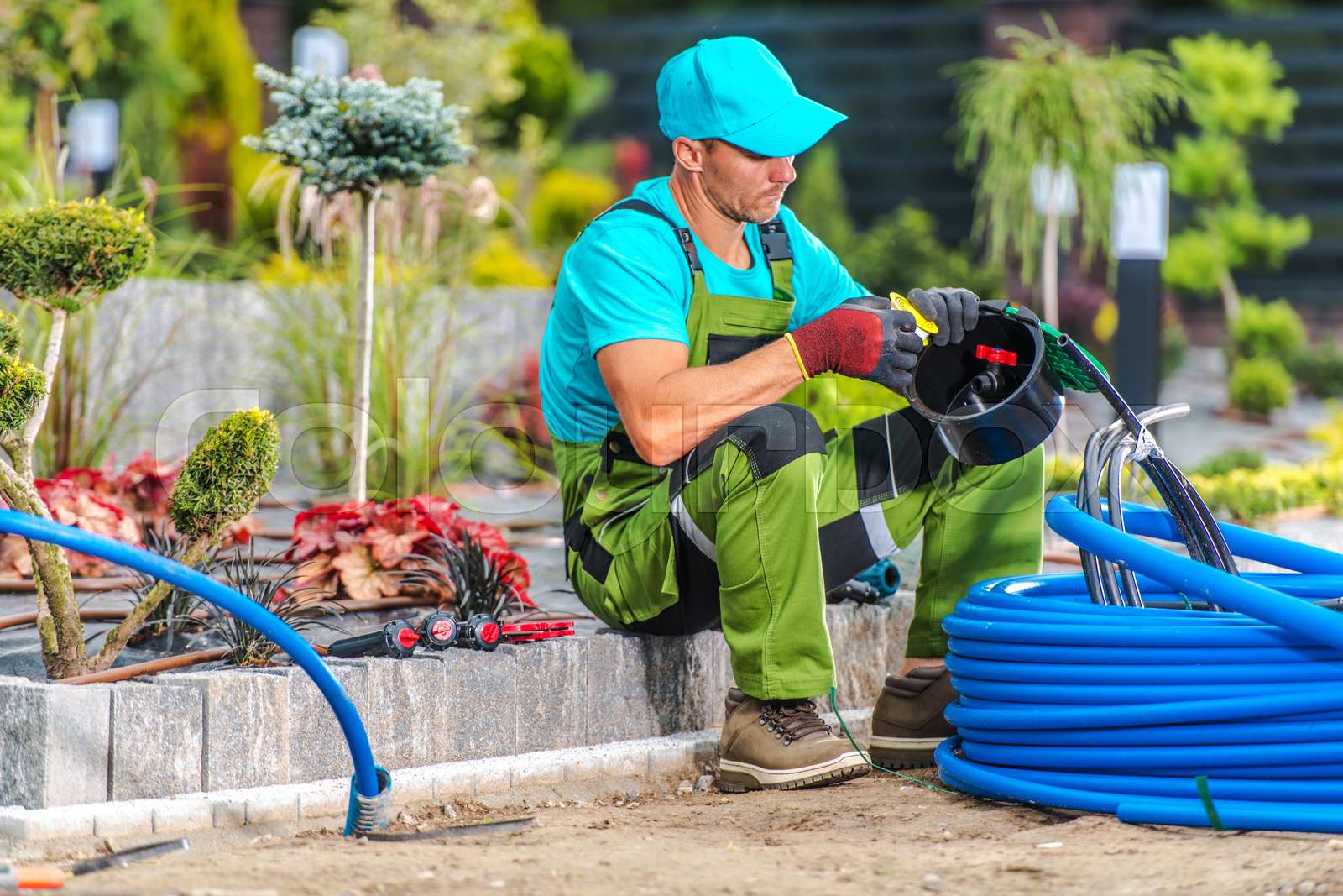 Garden Landscaper Building Backyard Irrigation System Stock Image Garden Landscaper Building Backyard Irrigation System Stock Image