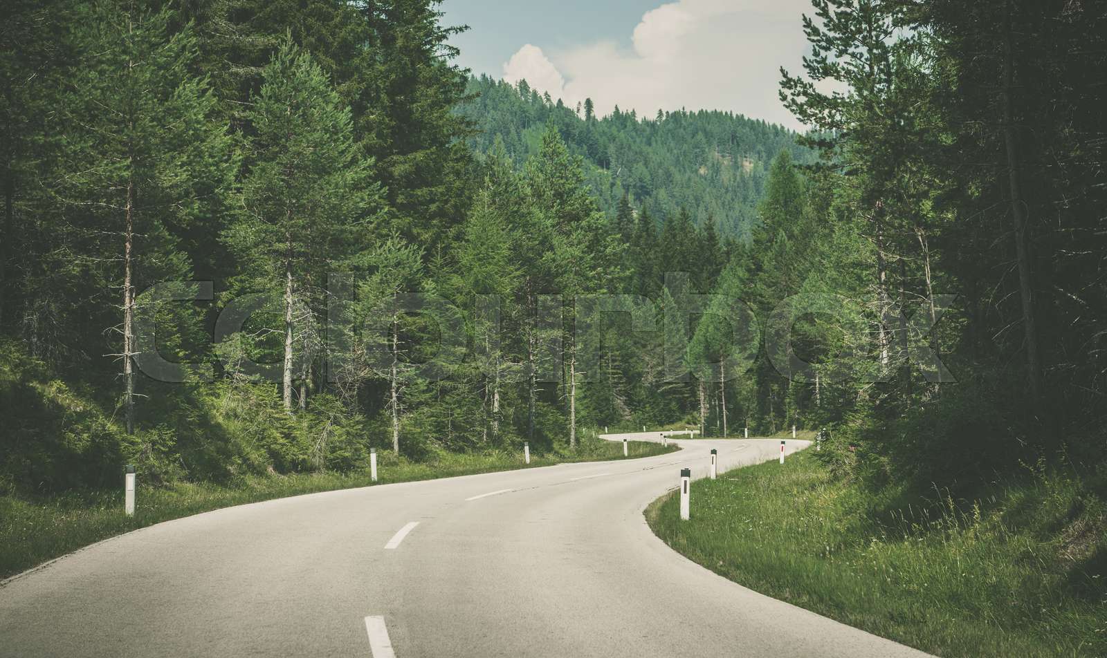 Winding Road in the Scenic Forest | Stock image | Colourbox