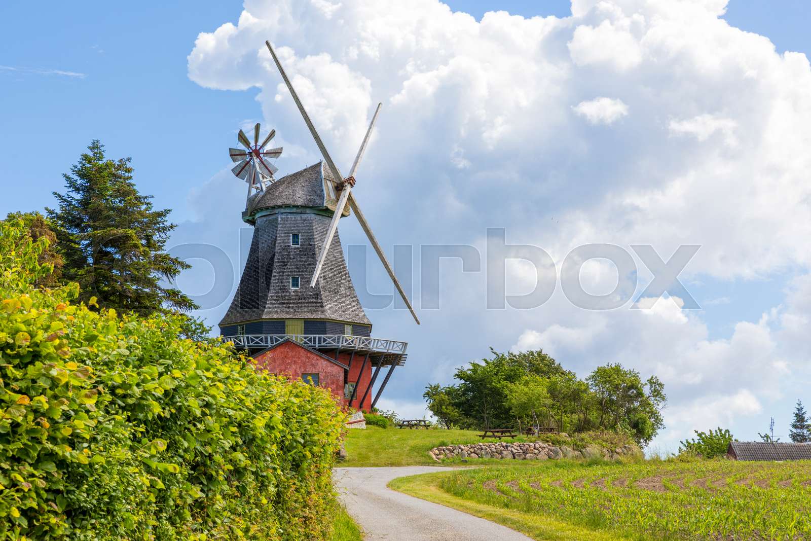 Windmill at Lindelse, Langeland, Denmark | Stock image | Colourbox