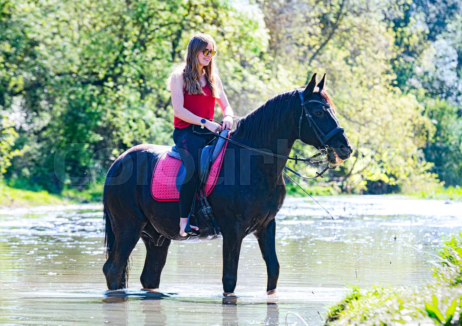 riding girl and horse in river | Stock image | Colourbox