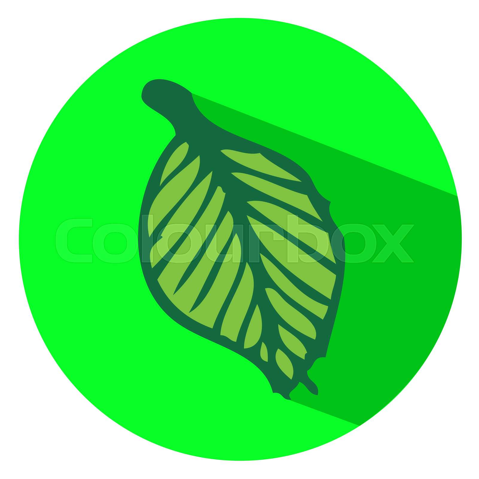 Leaf icon sign symbol design | Stock vector | Colourbox