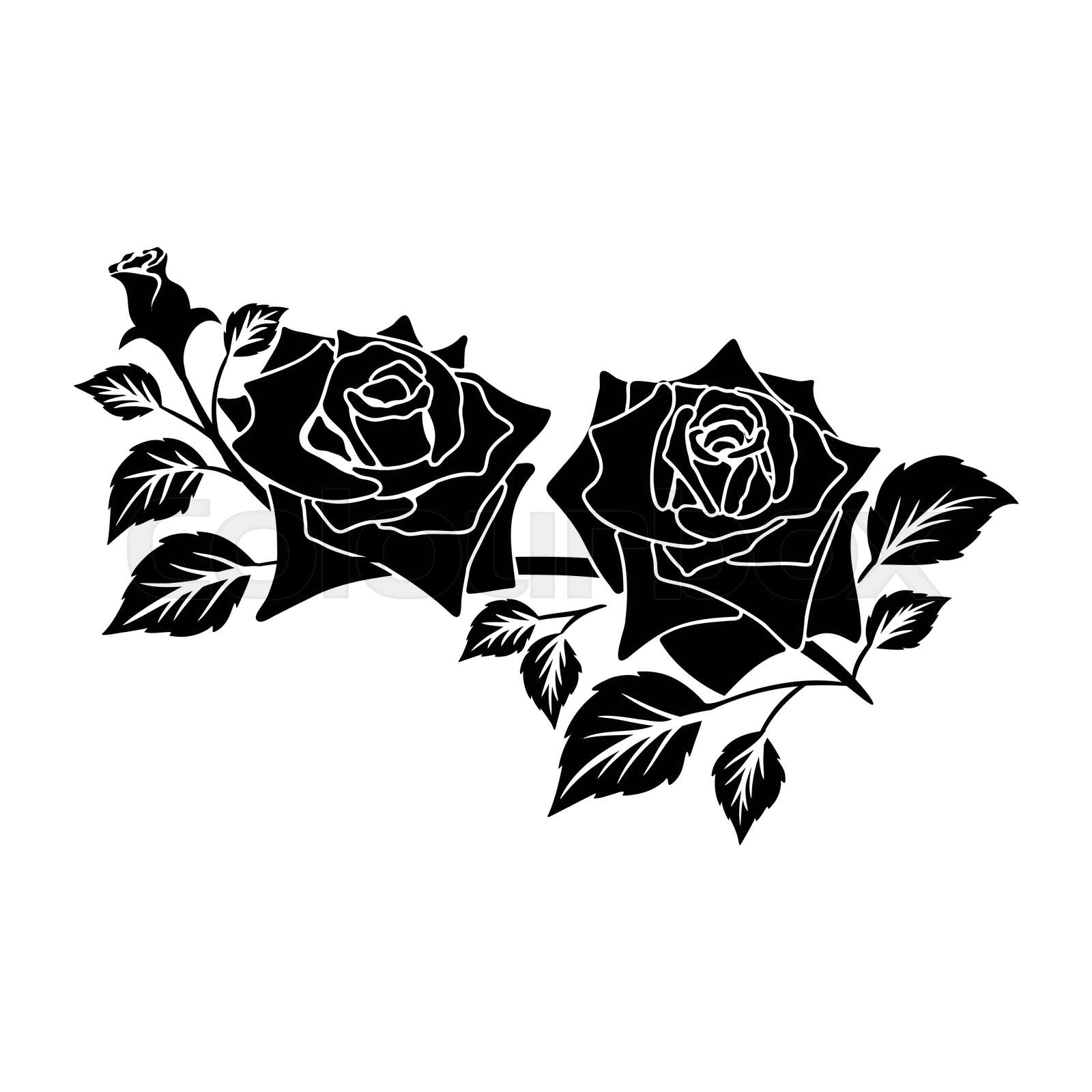 Rose Silhouette Border