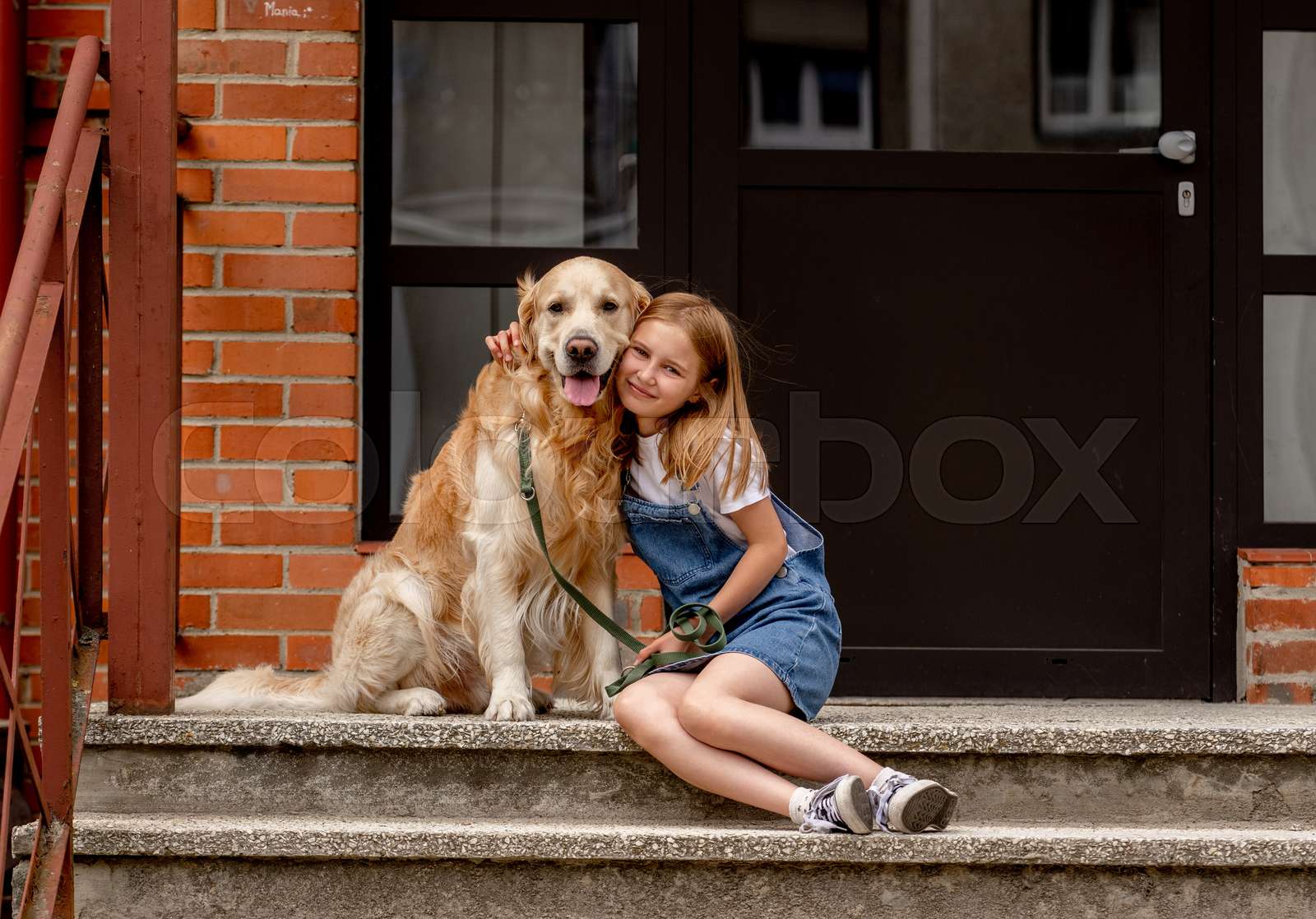 Preteen girl with golden retriever dog | Stock image | Colourbox