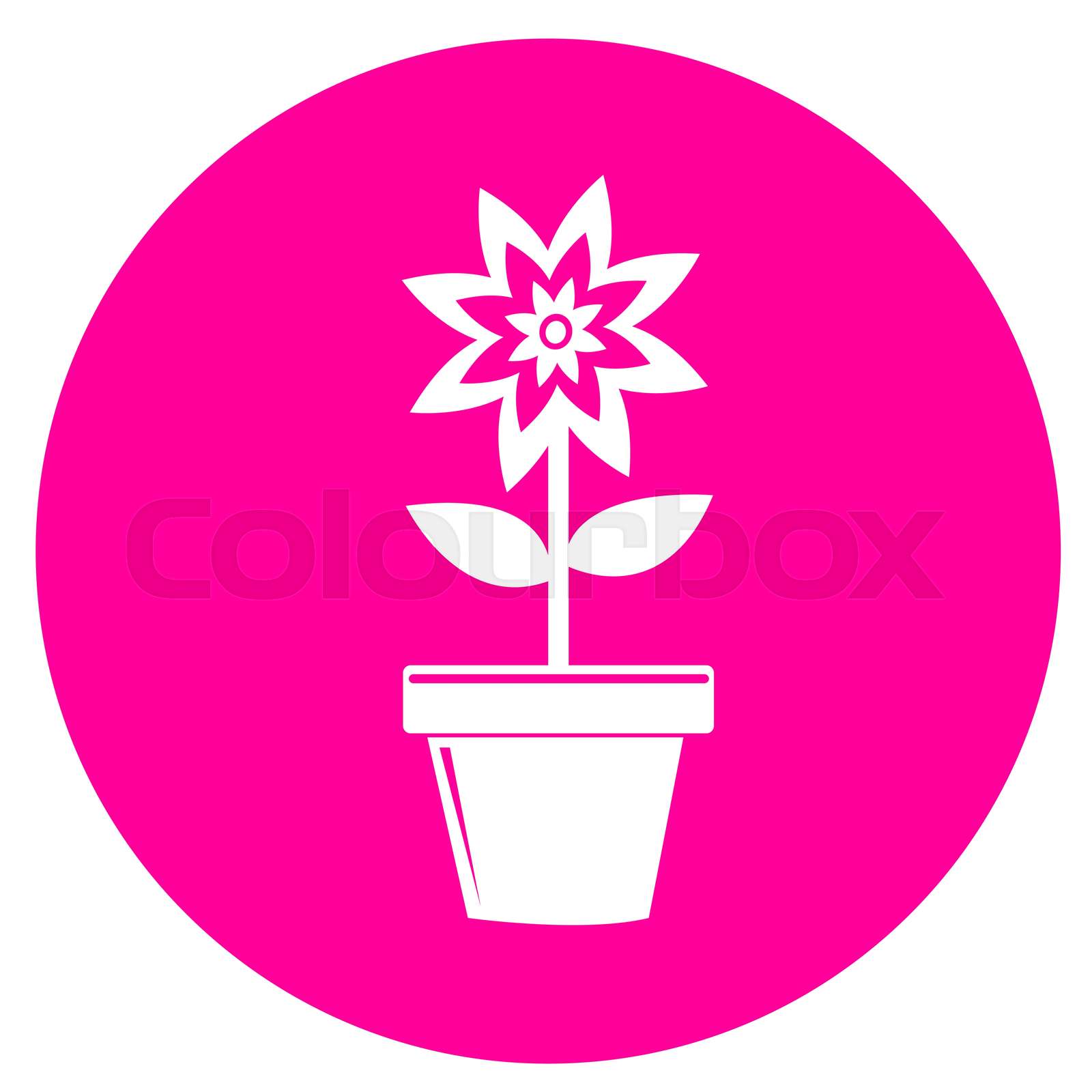 Flower icon flora sign symbol design | Stock vector | Colourbox