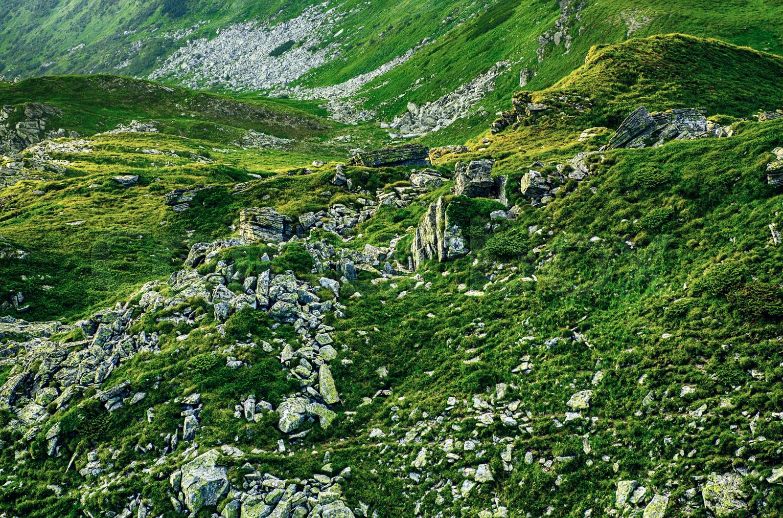 Carpathian mountain landscape | Stock image | Colourbox