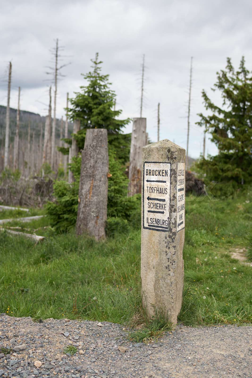 Stone signpost in the Harz National Park with directions to Torfhaus ...