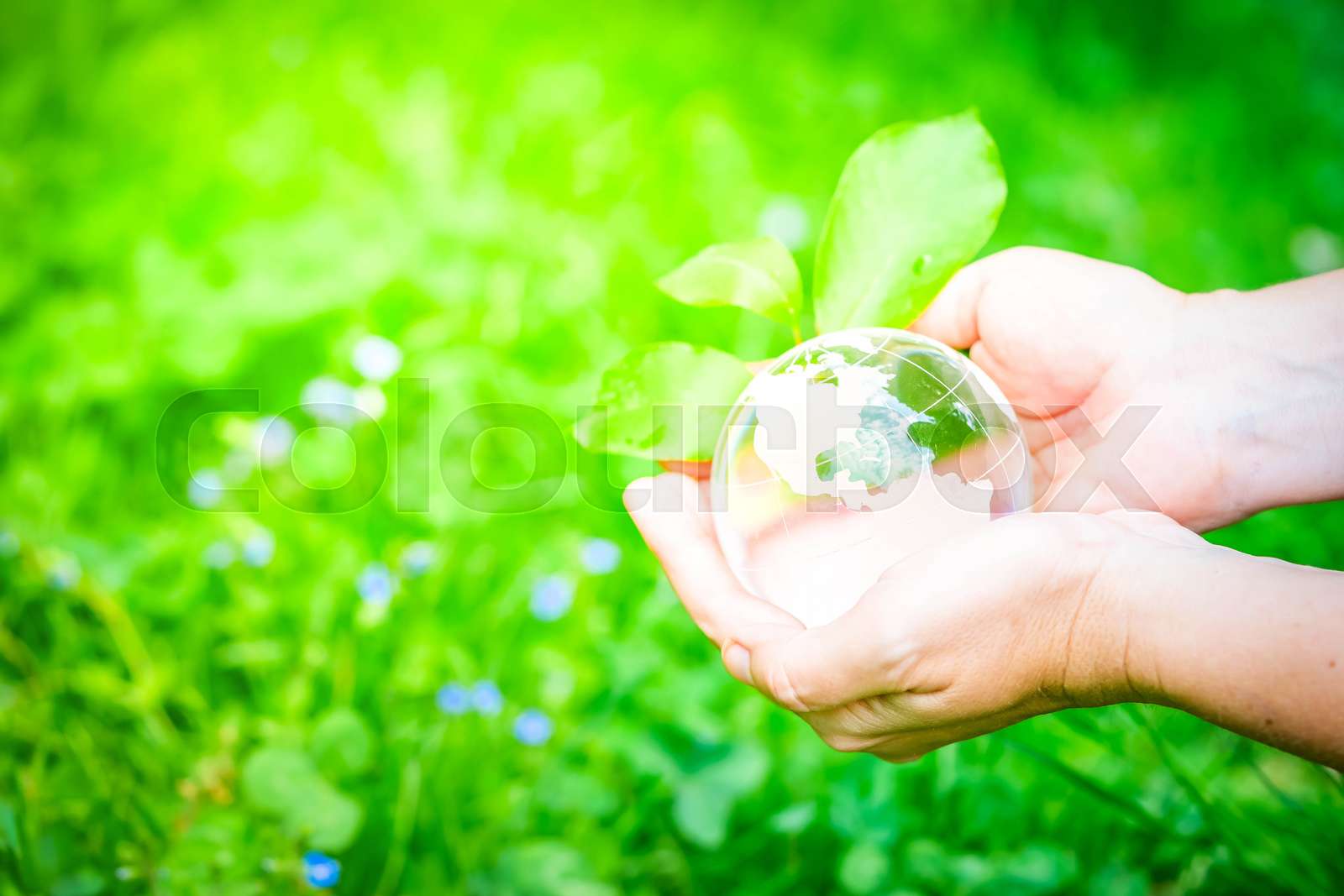 earth protection and sustainable ecology development | Stock image ...