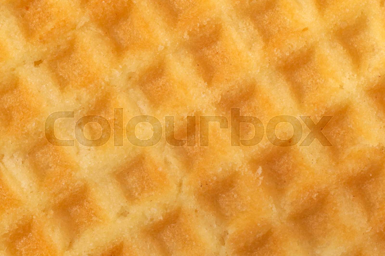 close up of waffles texture | Stock image | Colourbox