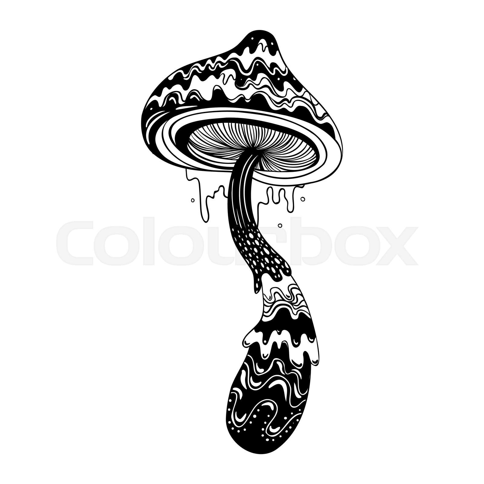 Magic mushrooms. Psychedelic hallucination. Outline vector illustration ...