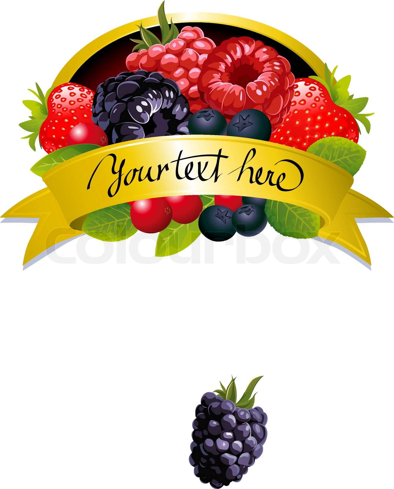 label with berries | Stock vector | Colourbox