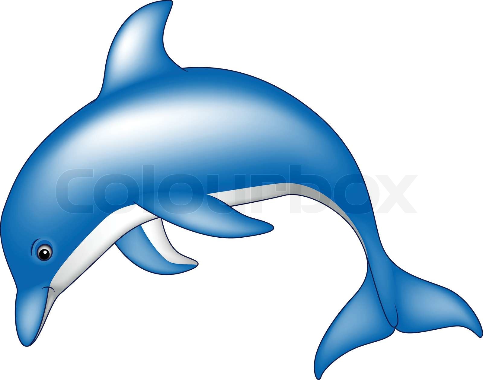 cute dolphin | Stock vector | Colourbox