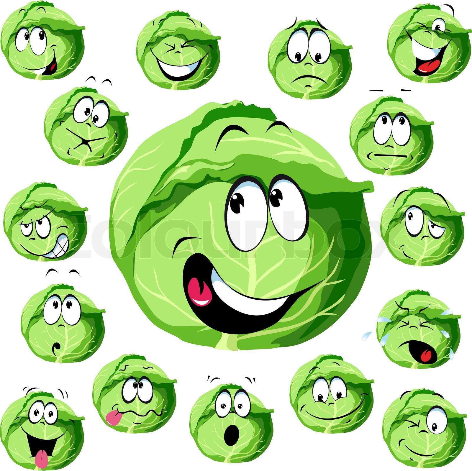 cabbage cartoon | Stock vector | Colourbox