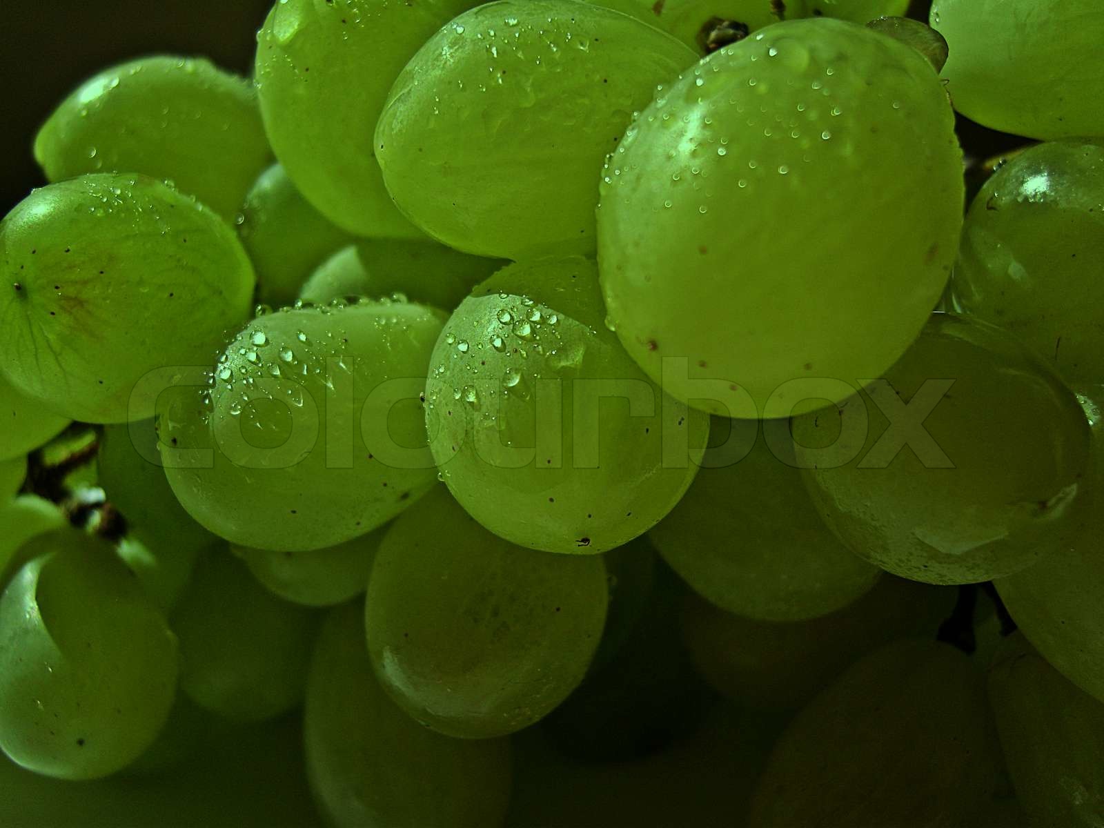 Weintrauben | Stock Bild | Colourbox